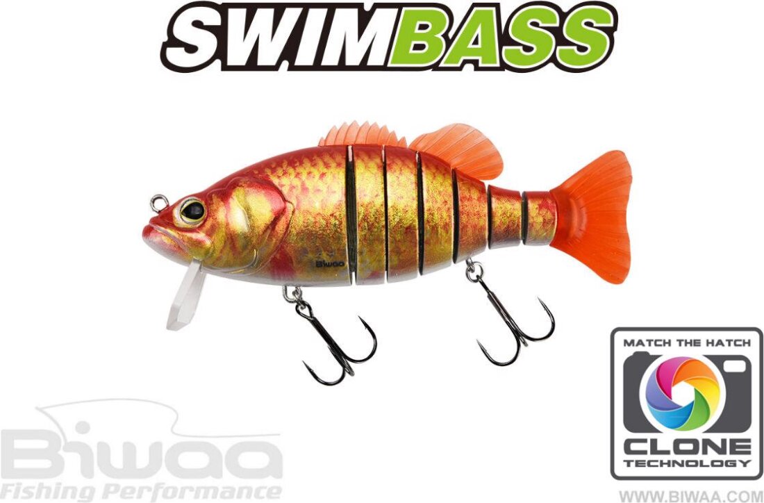 Biwaa Swimbass 6" Slow Sink 15cm 65g 53 Gold Fish wobbler - JADABO